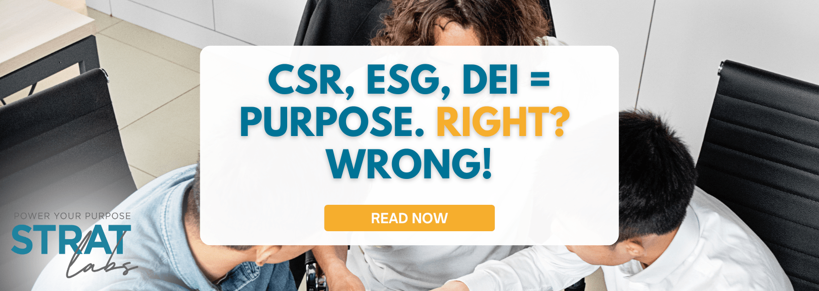 CSR, ESG, DEI = PURPOSE. Right? Wrong! – Strat Labs