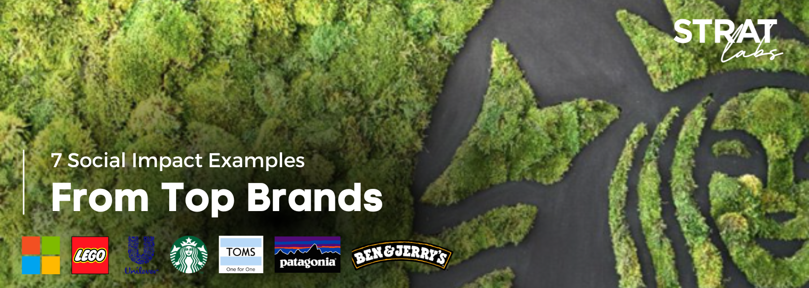 7 Social Impact Examples from Top Brands – Strat Labs